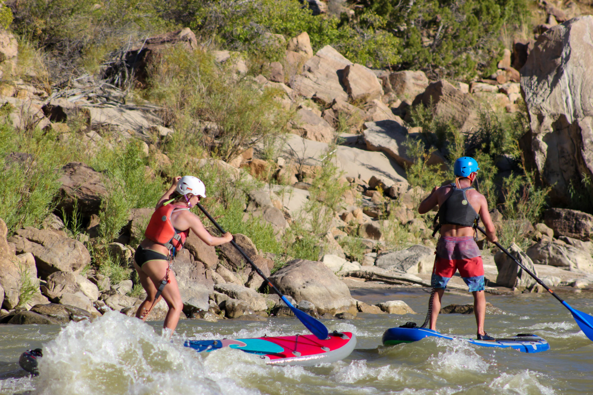 Why the Green River is One of the Best for Rafting Trips | Mild to Wild
