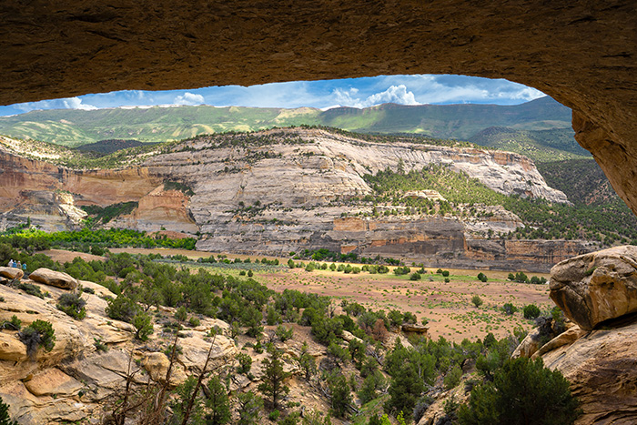 Yampa River Rafting Trips | Mild to Wild