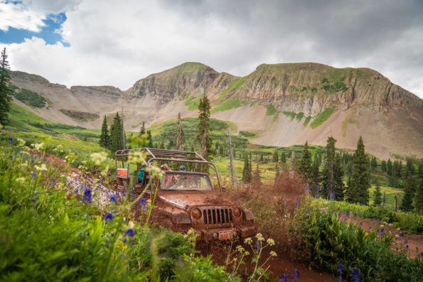 5 Amazing Off Roading Trails In Southwest Colorado To See Wildflowers