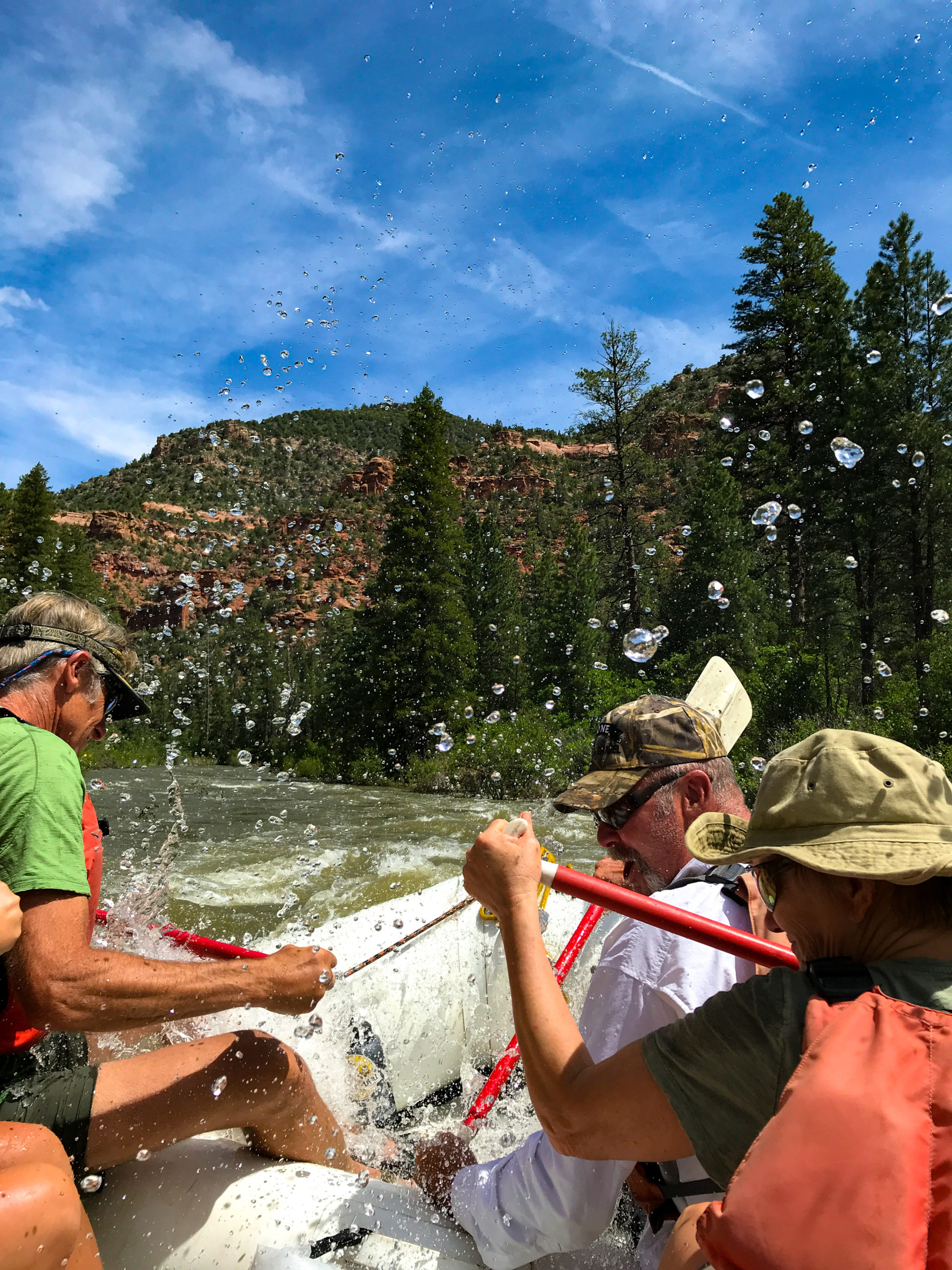 Dolores River Rafting - Cortez Colorado Whitewater