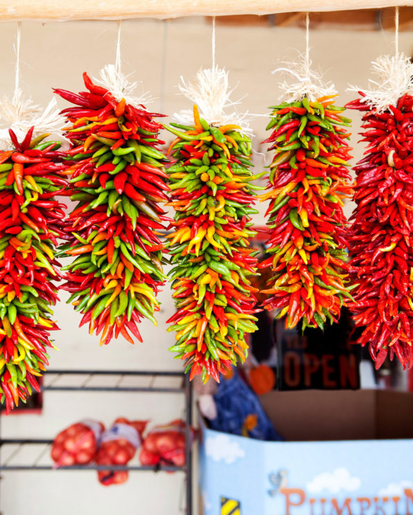 Albuquerque Road Trip Itinerary - Hidden Masterpieces | Mild to Wild Blog