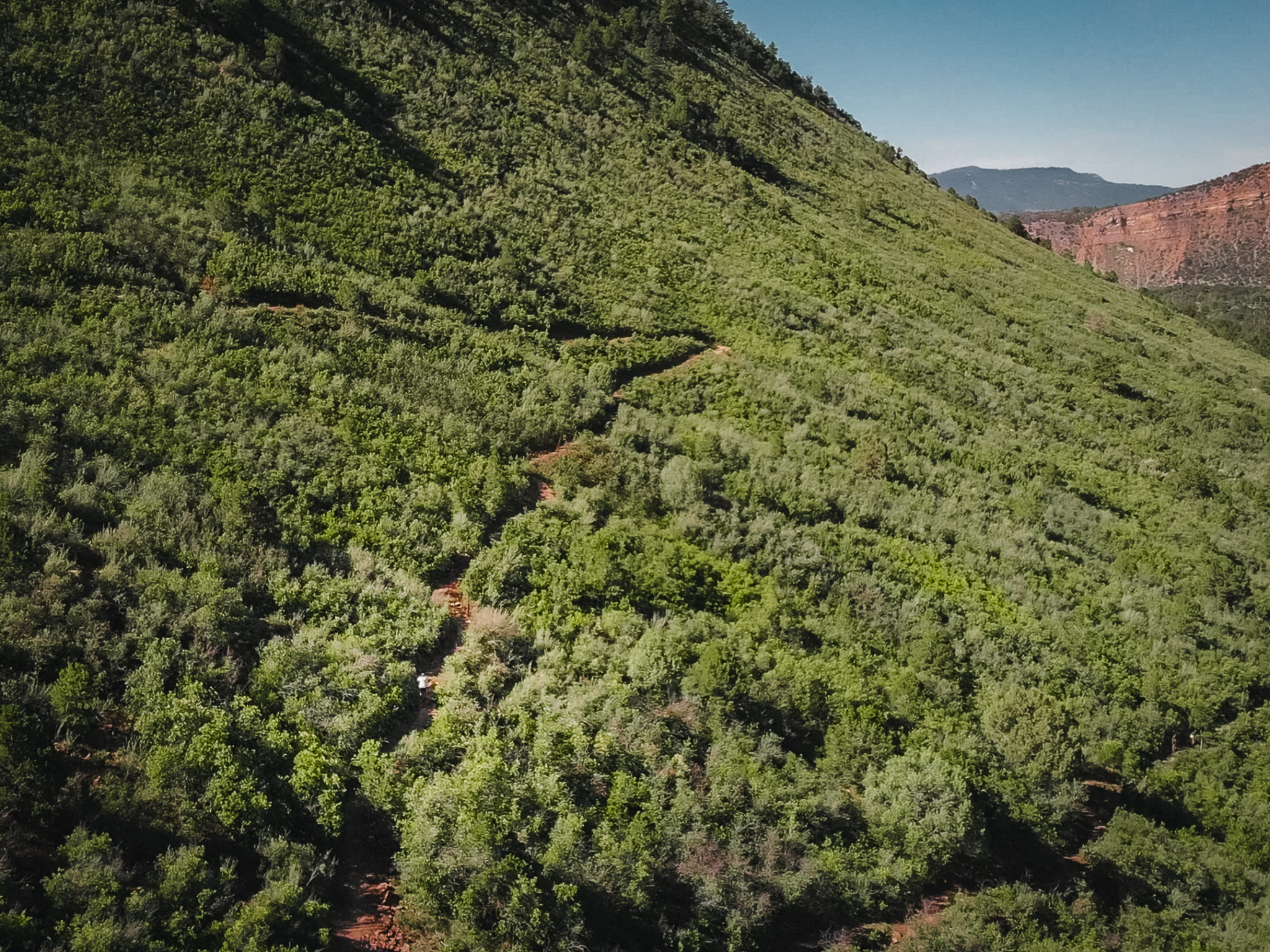 5 Great New Mountain Bike Trails In Durango | Mild to Wild Adventure Blog