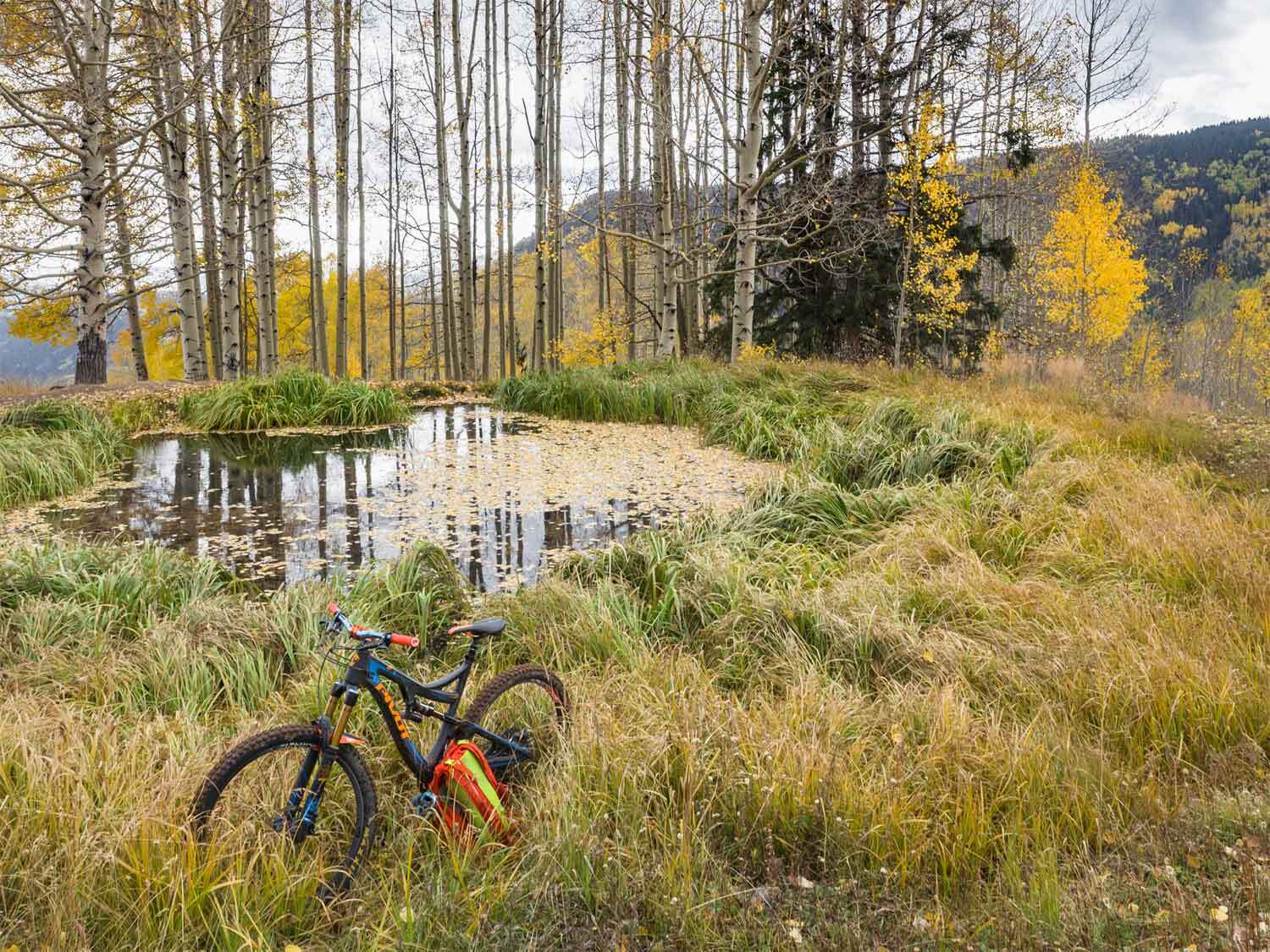 7 Glowing Durango Trails You Should Hike ASAP During Fall | Mild to Wild