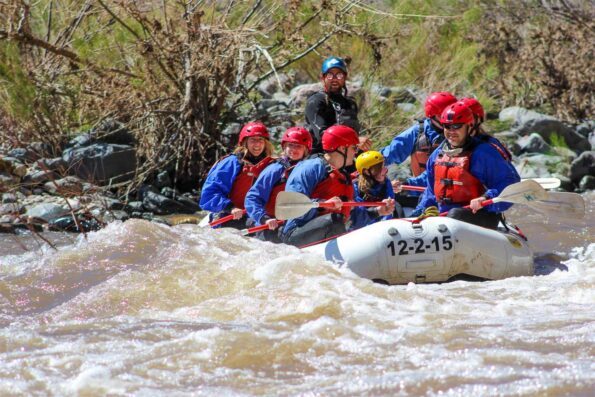 Salt River FAQ - Mild to Wild Rafting & Jeep Tours